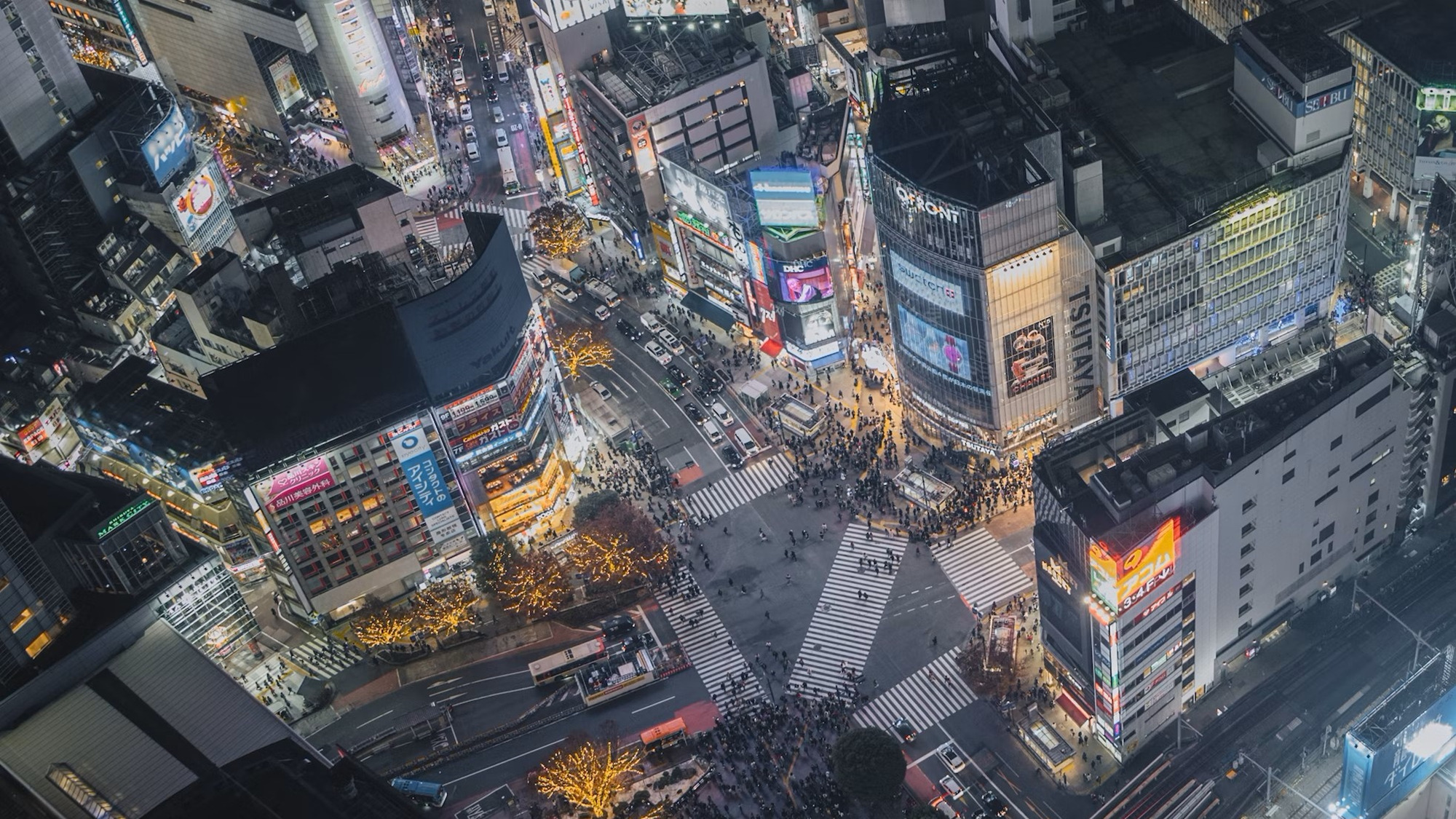 外国人ビジネス支援 - Leon Strategy